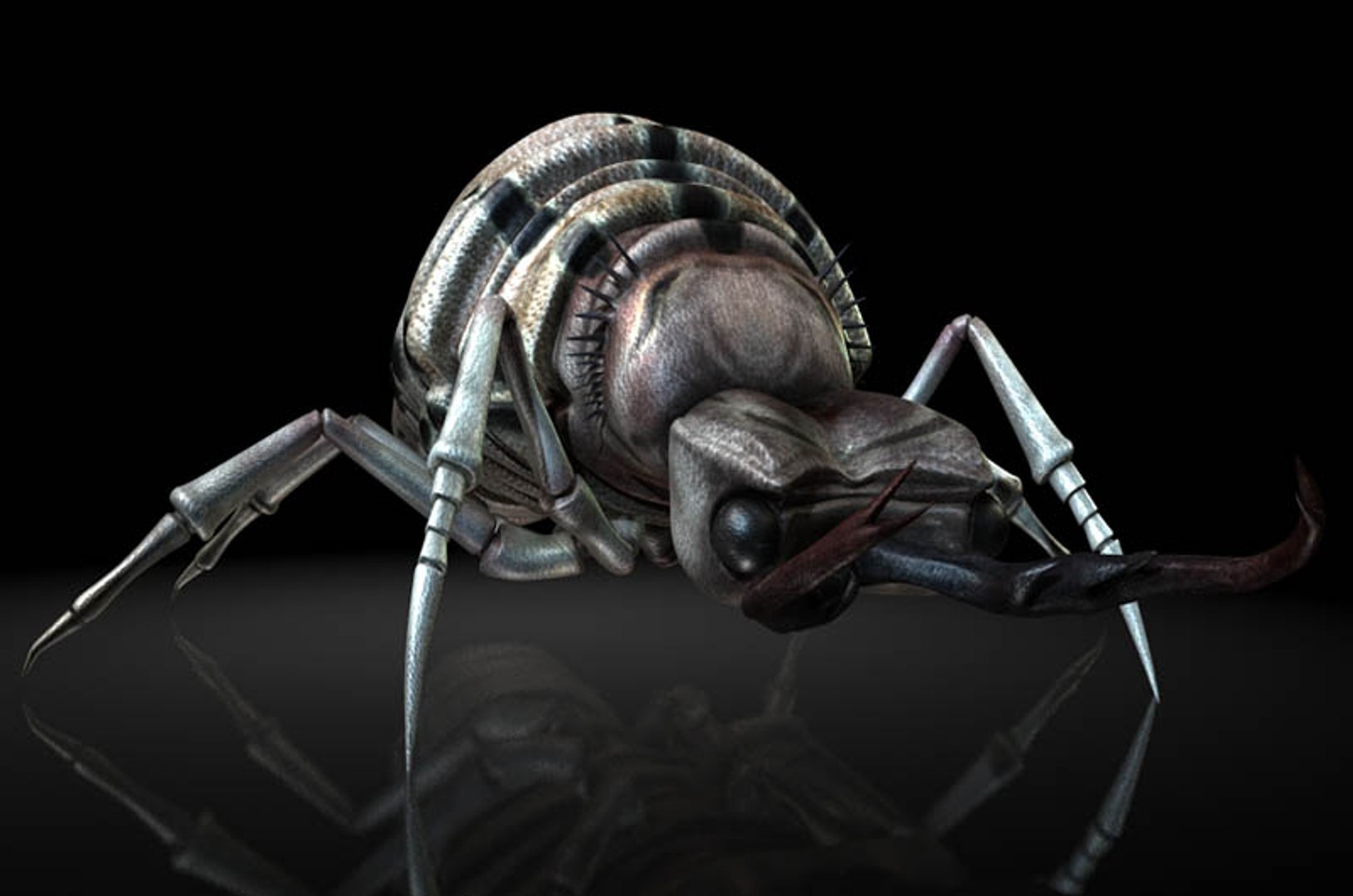 Antlion Lion Ant 3D Model - TurboSquid 1327068