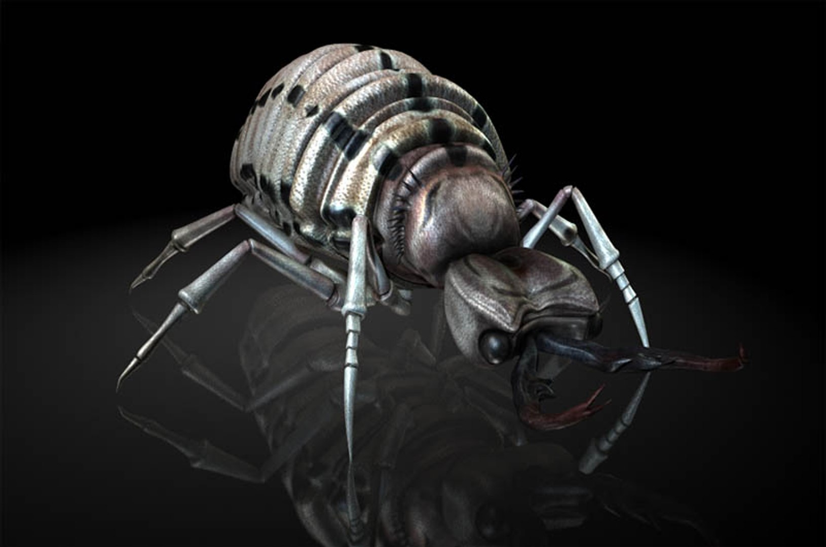 Antlion Lion Ant 3D Model - TurboSquid 1327068