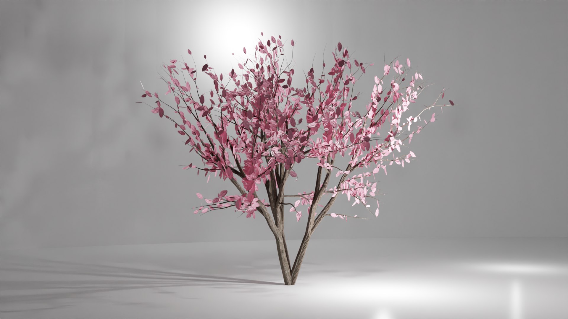 3D Japanese Trees Collection Model - TurboSquid 1965964