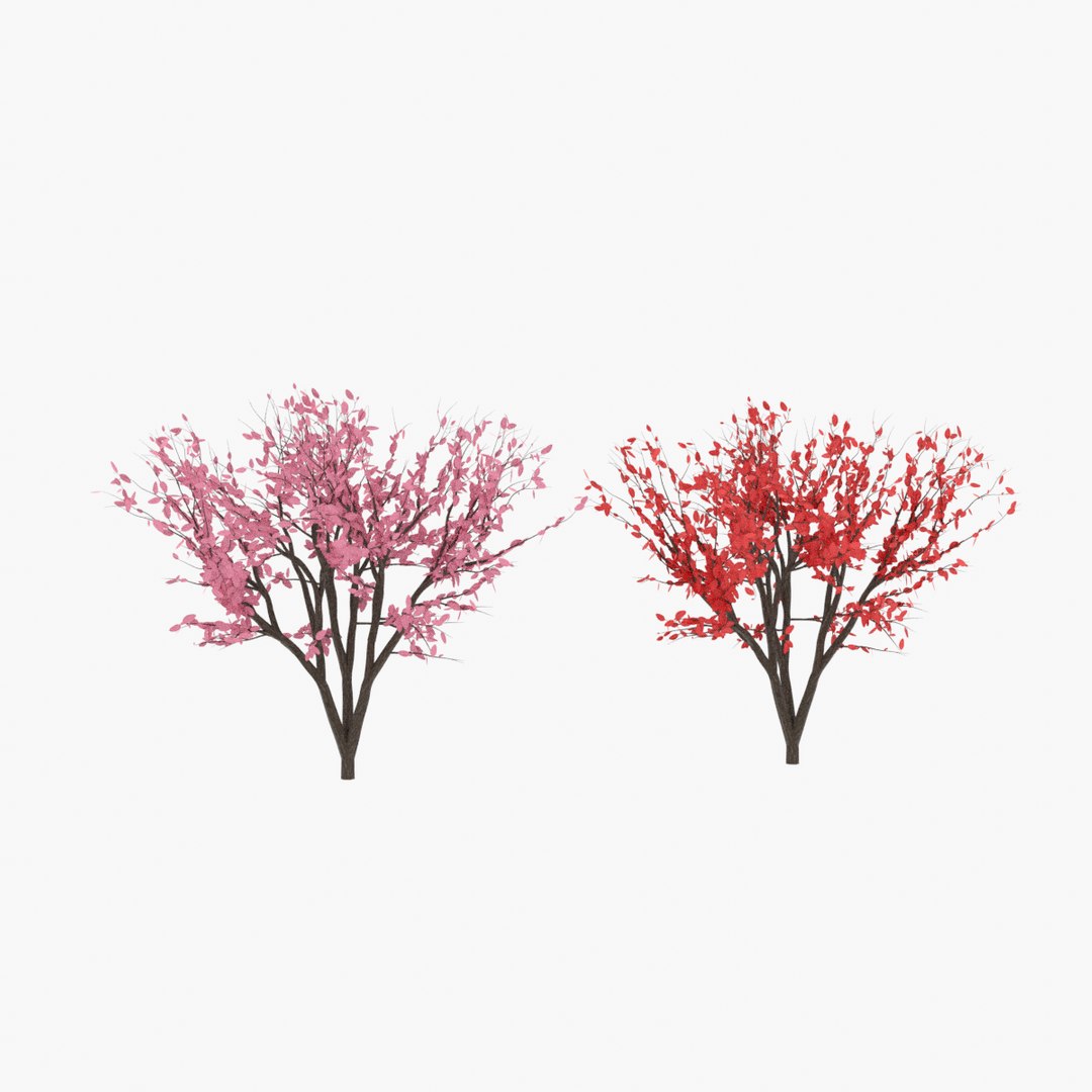 3D Japanese Trees Collection Model - TurboSquid 1965964