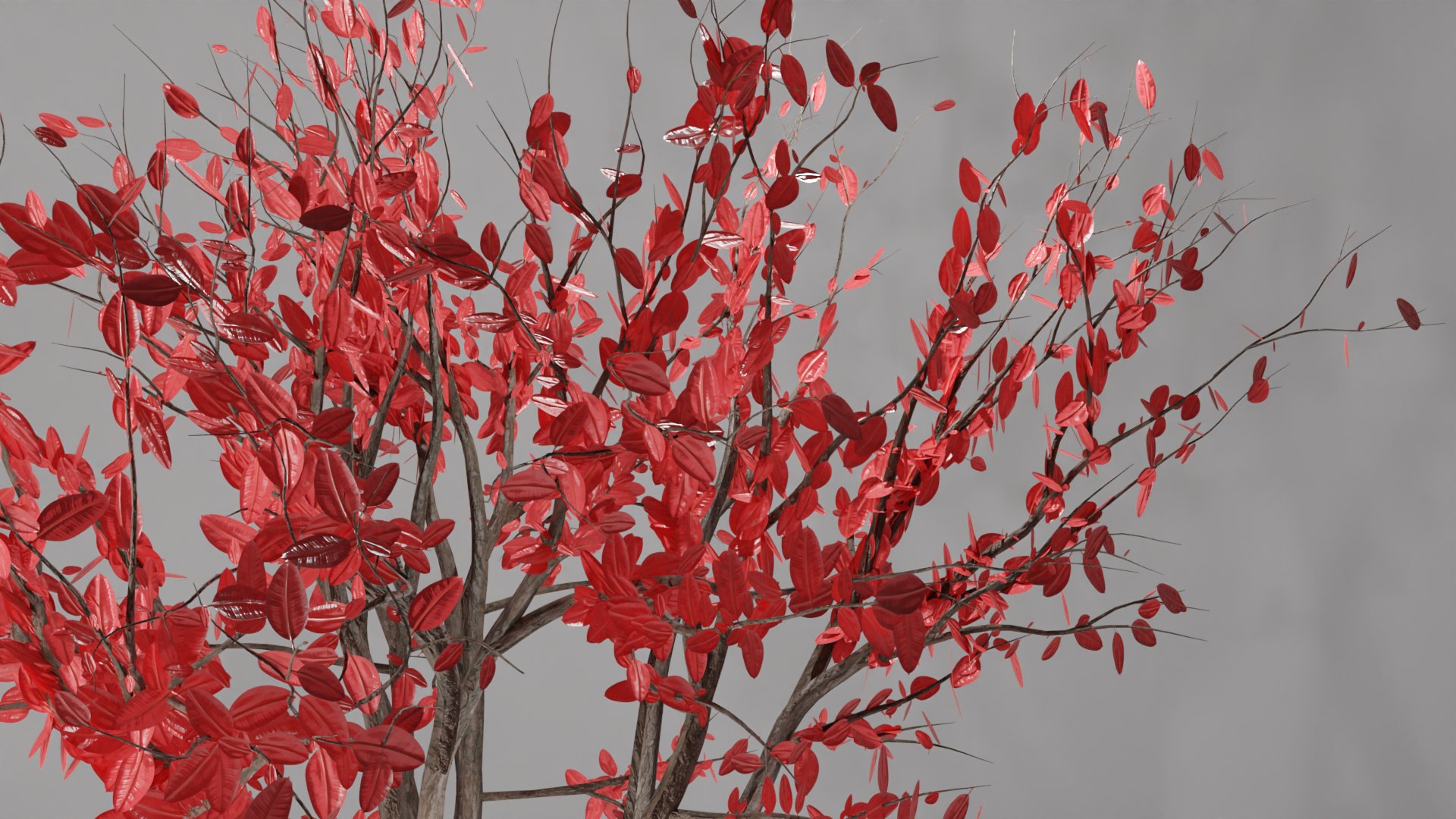 3D Japanese Trees Collection Model - TurboSquid 1965964