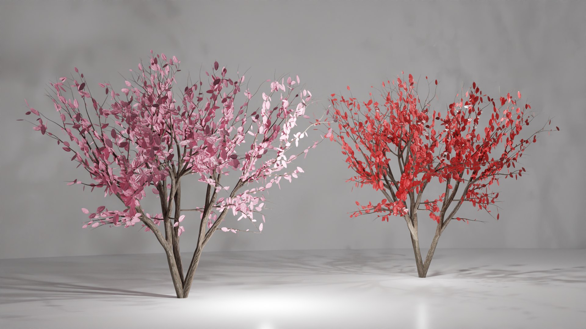 3D Japanese Trees Collection Model - TurboSquid 1965964