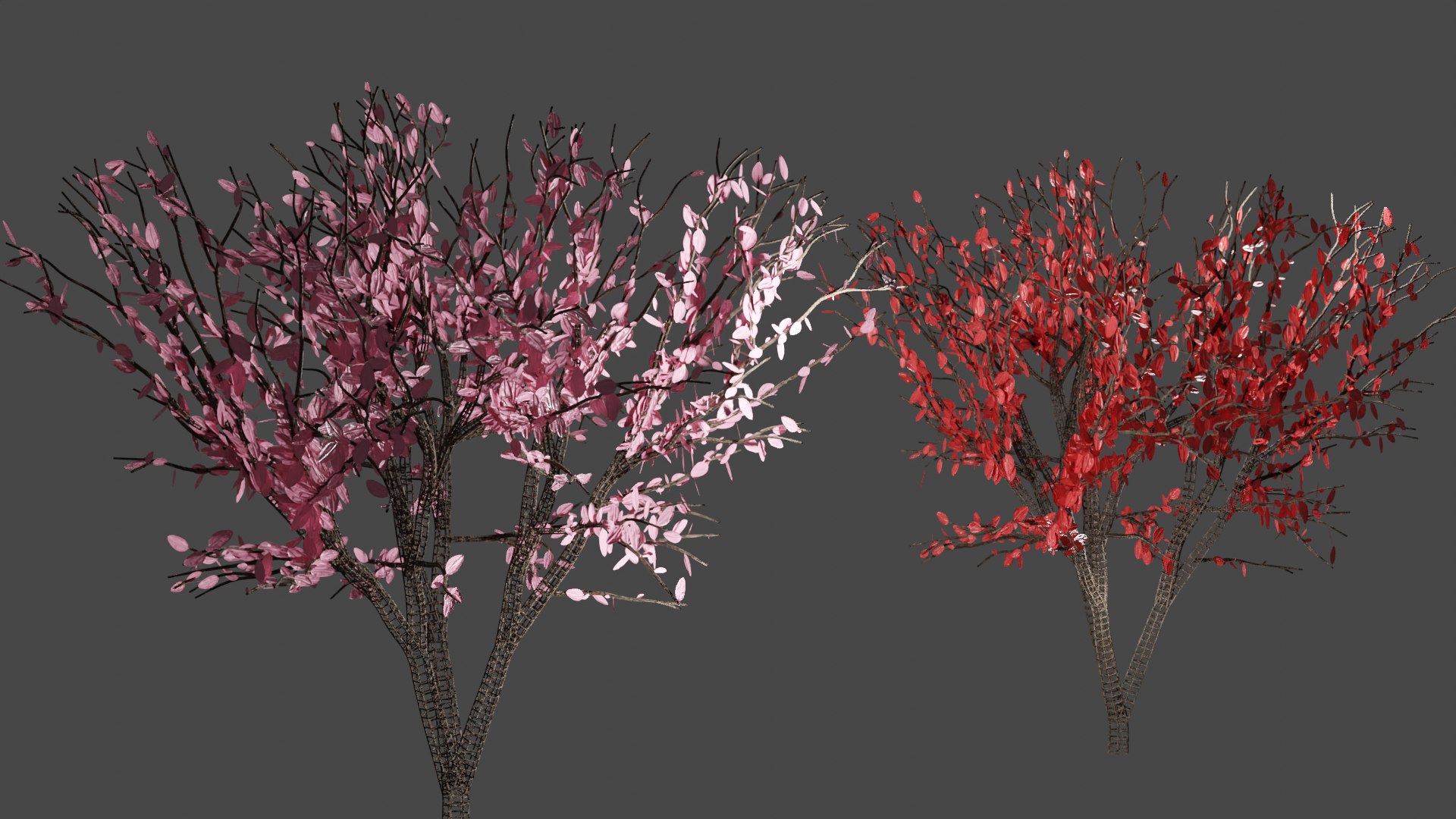 3D Japanese Trees Collection Model - TurboSquid 1965964