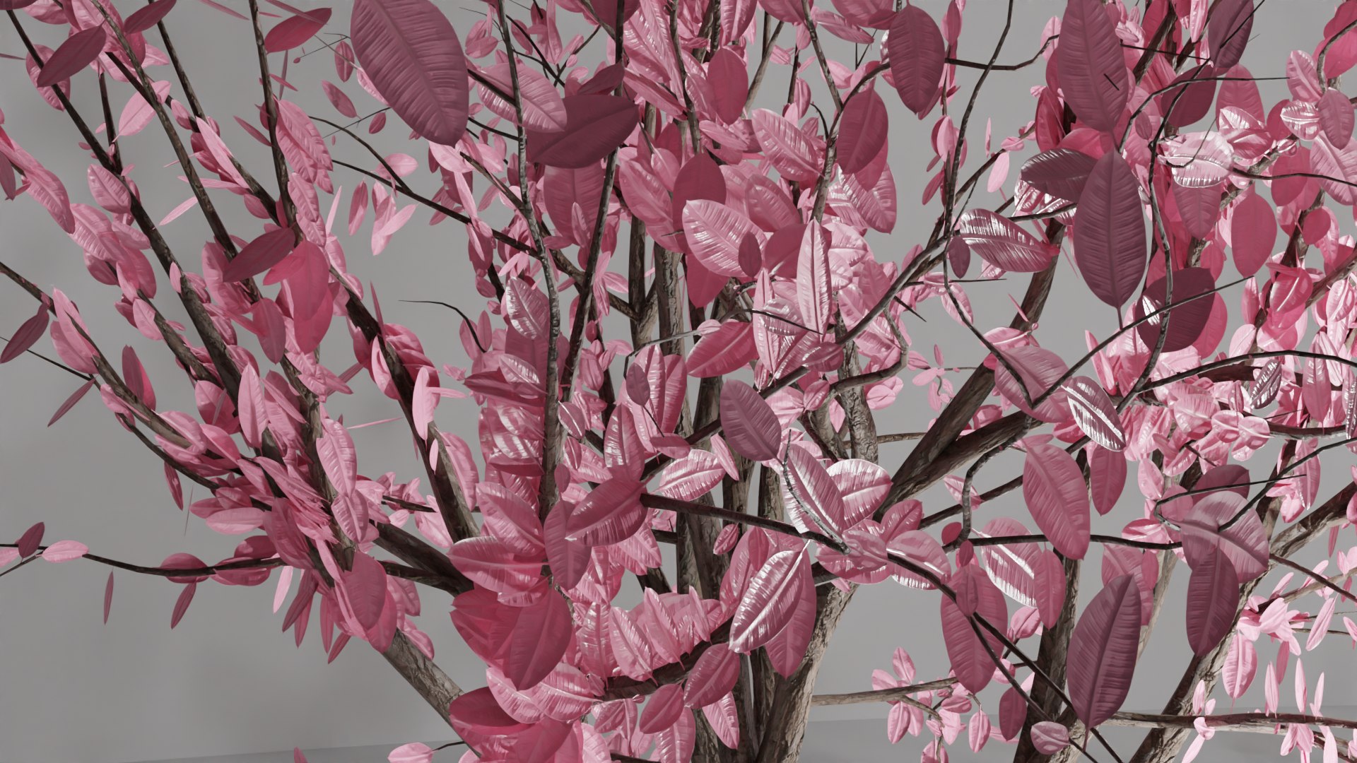 3D Japanese Trees Collection Model - TurboSquid 1965964