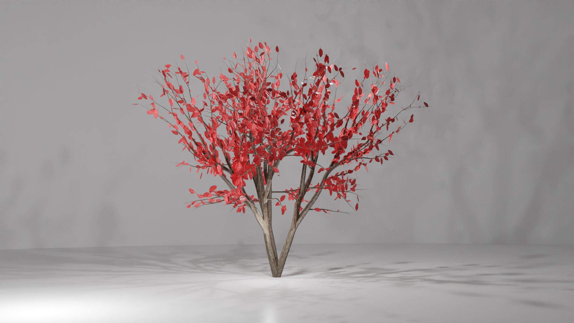 3D Japanese Trees Collection Model - TurboSquid 1965964