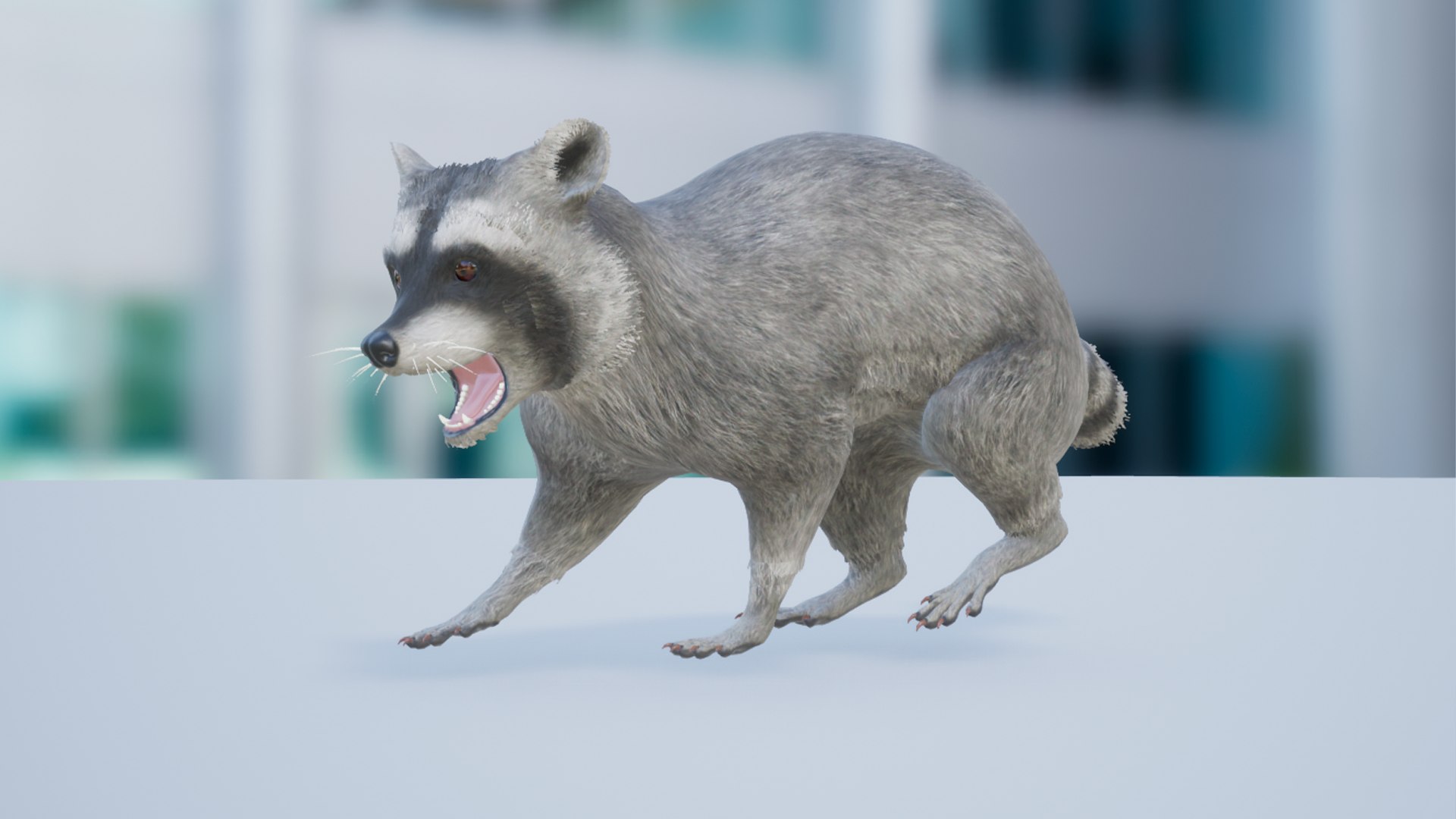 Raccoon 3D Model - TurboSquid 2151797