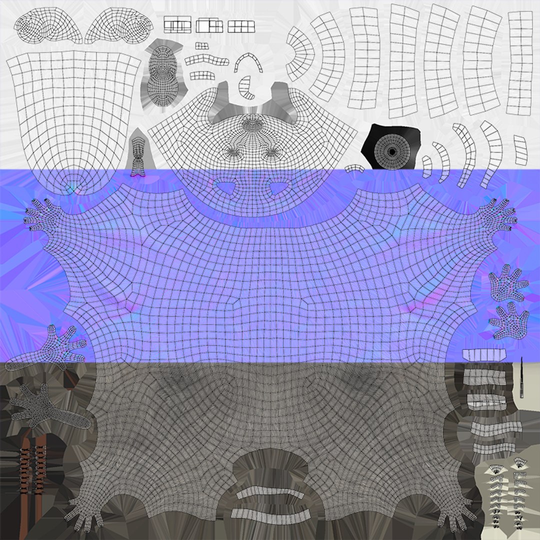 Raccoon 3D Model - TurboSquid 2151797