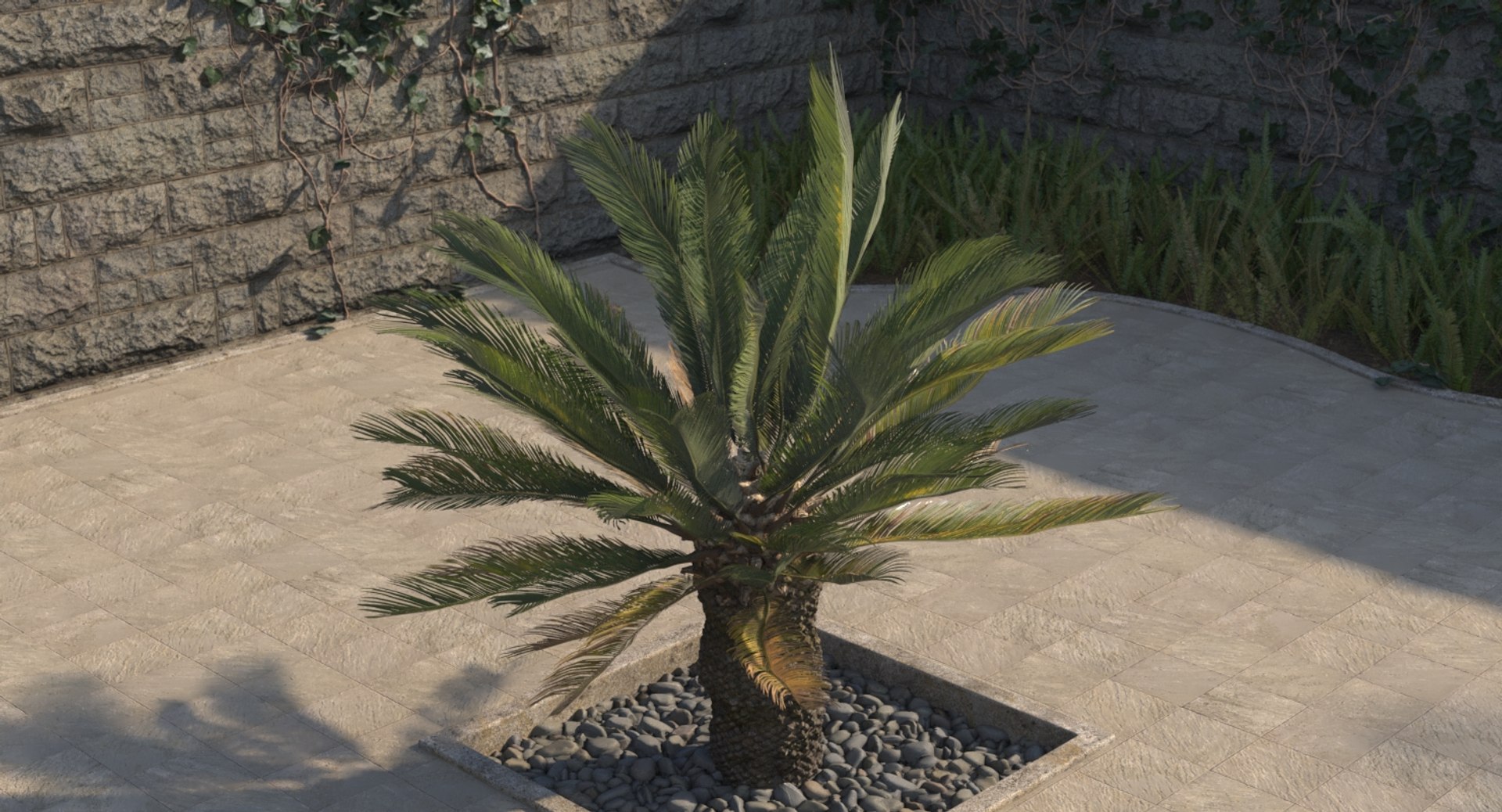 3D Scan Cycad Broodboom - TurboSquid 1387103