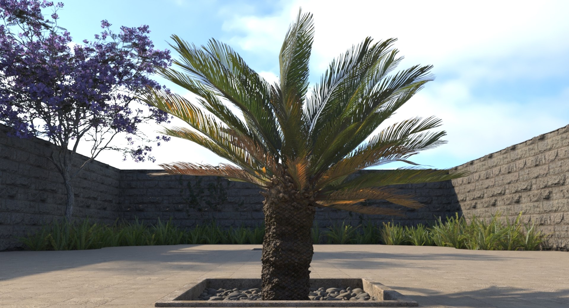 3D Scan Cycad Broodboom - TurboSquid 1387103