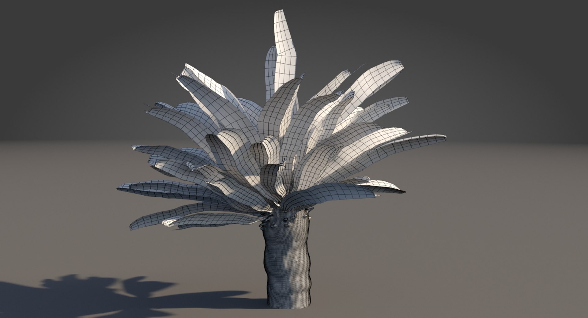 3D Scan Cycad Broodboom - TurboSquid 1387103