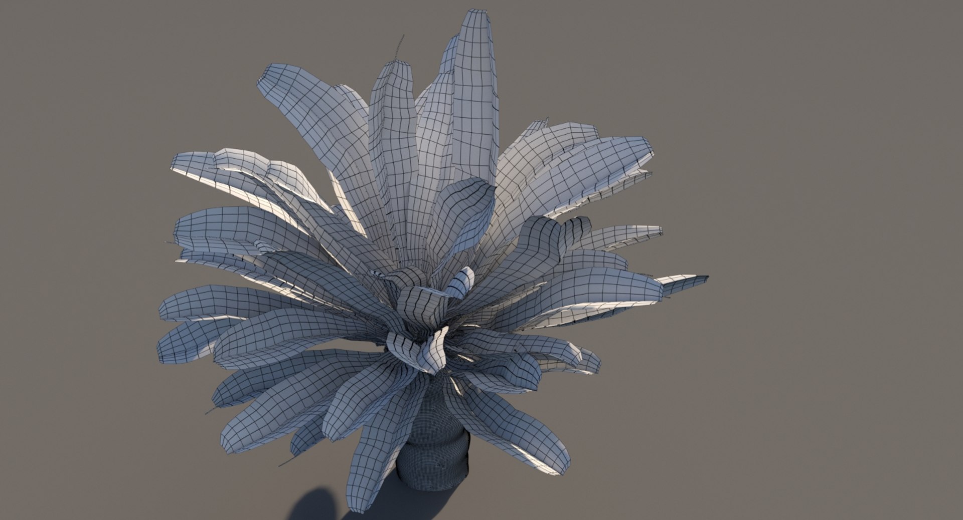 3D Scan Cycad Broodboom - TurboSquid 1387103