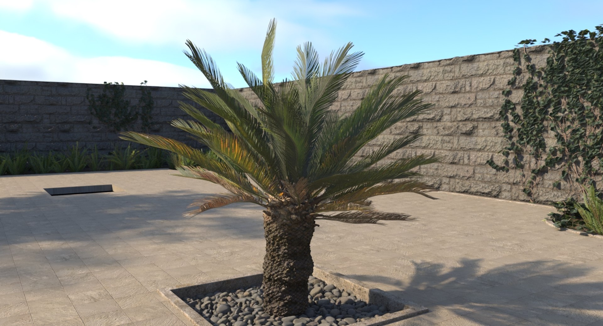 3D Scan Cycad Broodboom - TurboSquid 1387103