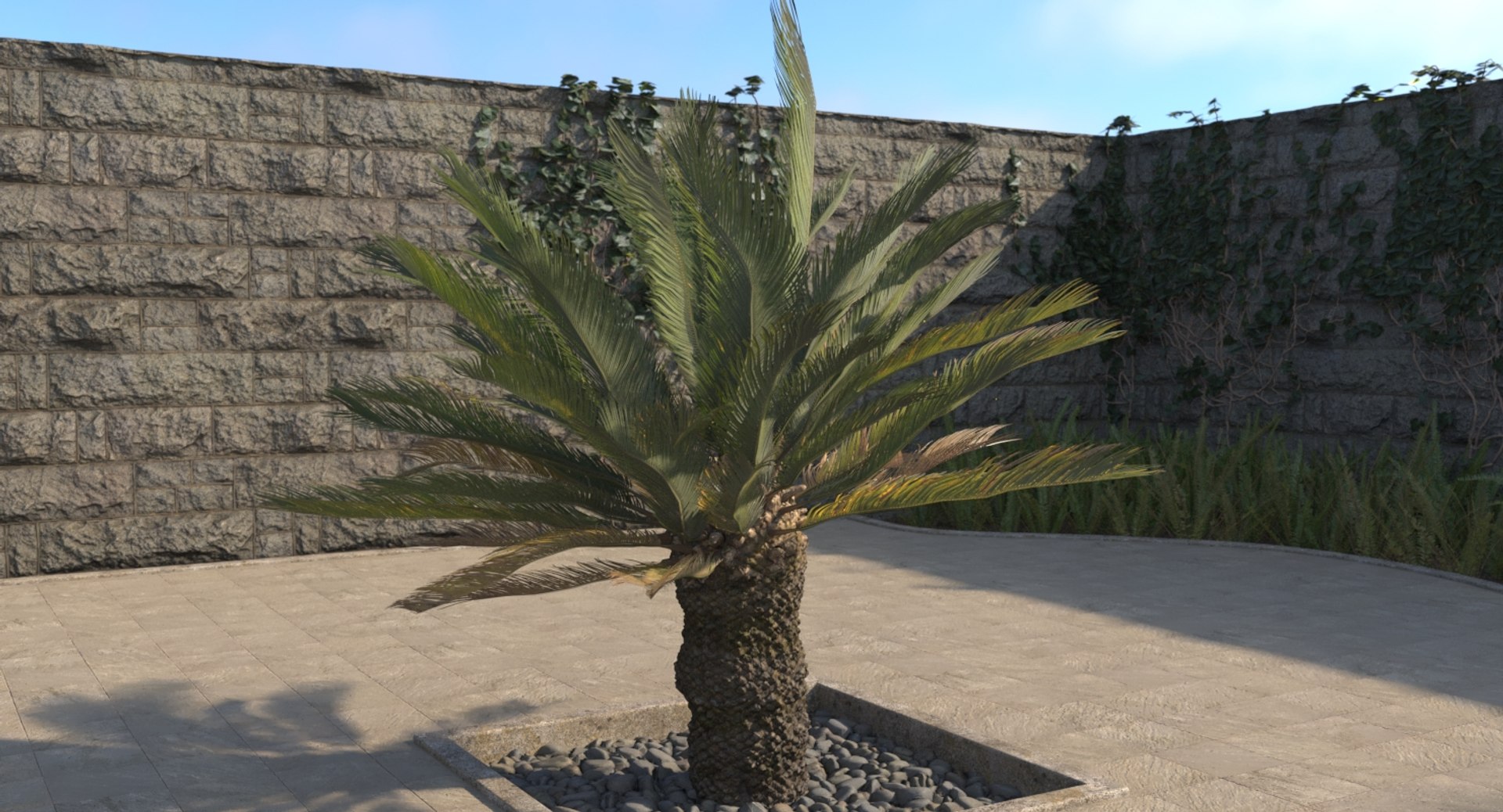 3D Scan Cycad Broodboom - TurboSquid 1387103