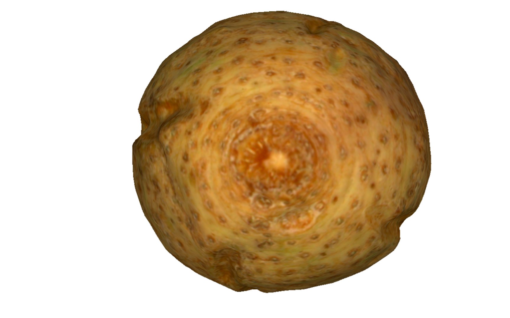 Celery Scan 3D Model - TurboSquid 1627725