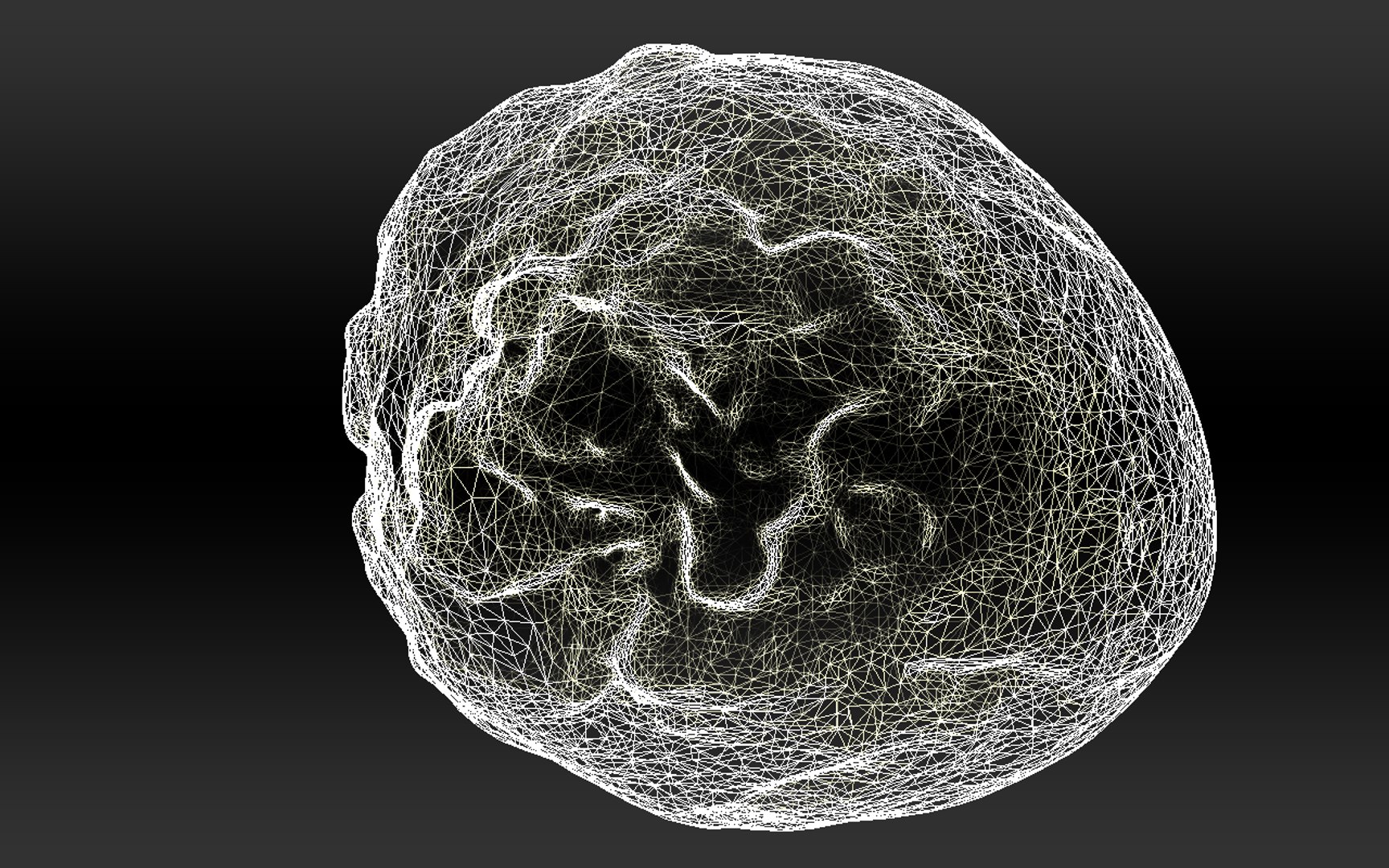 Celery Scan 3D Model - TurboSquid 1627725
