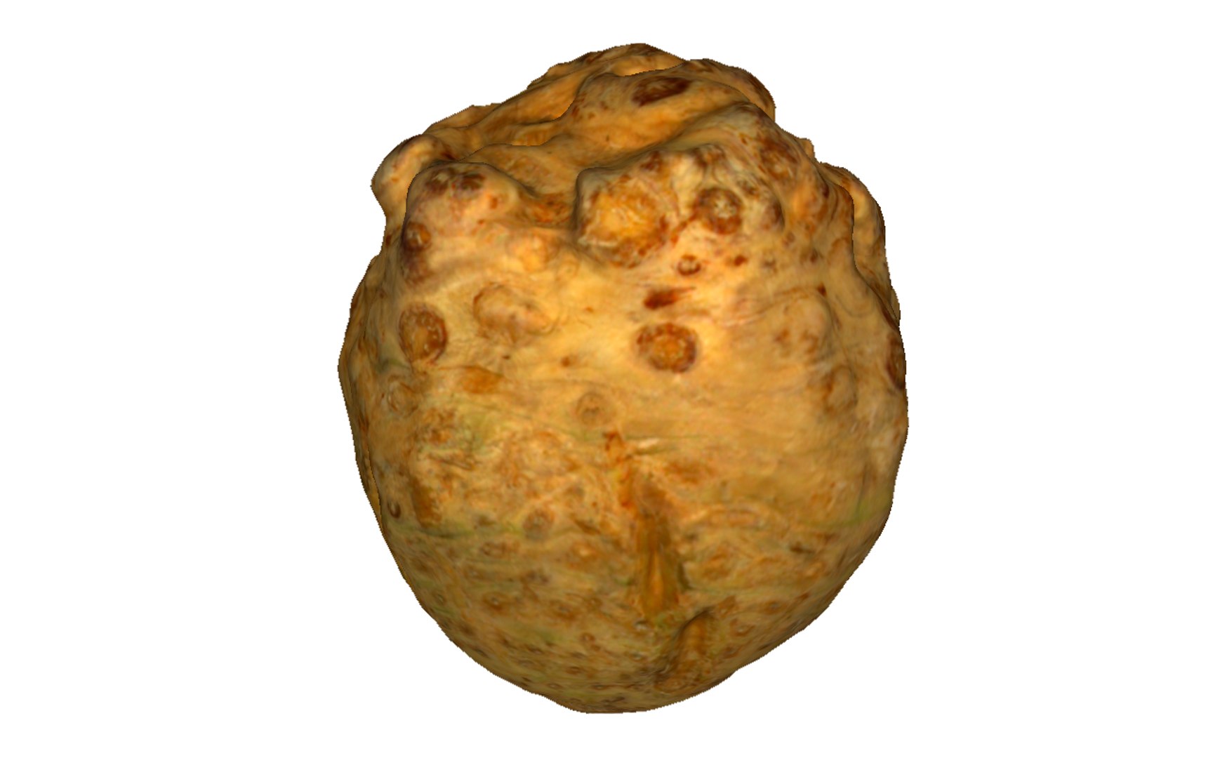 Celery Scan 3D Model - TurboSquid 1627725