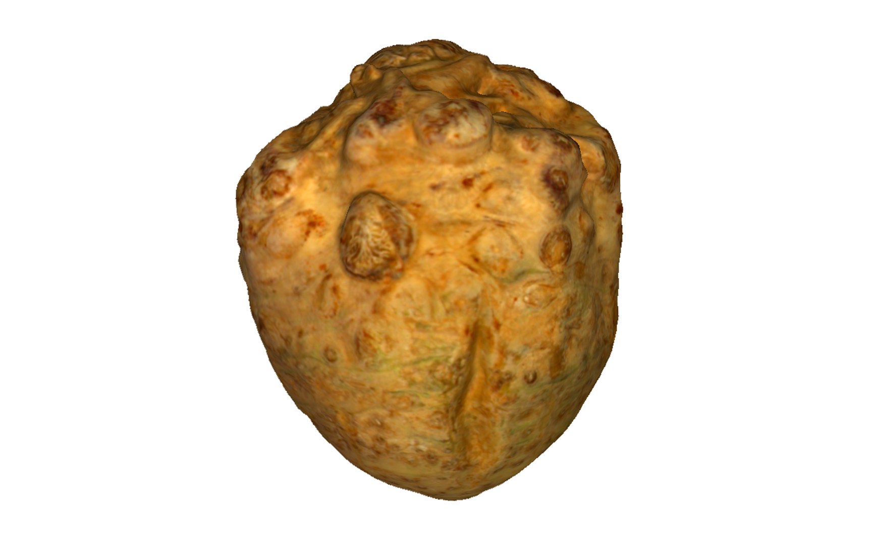Celery Scan 3D Model - TurboSquid 1627725