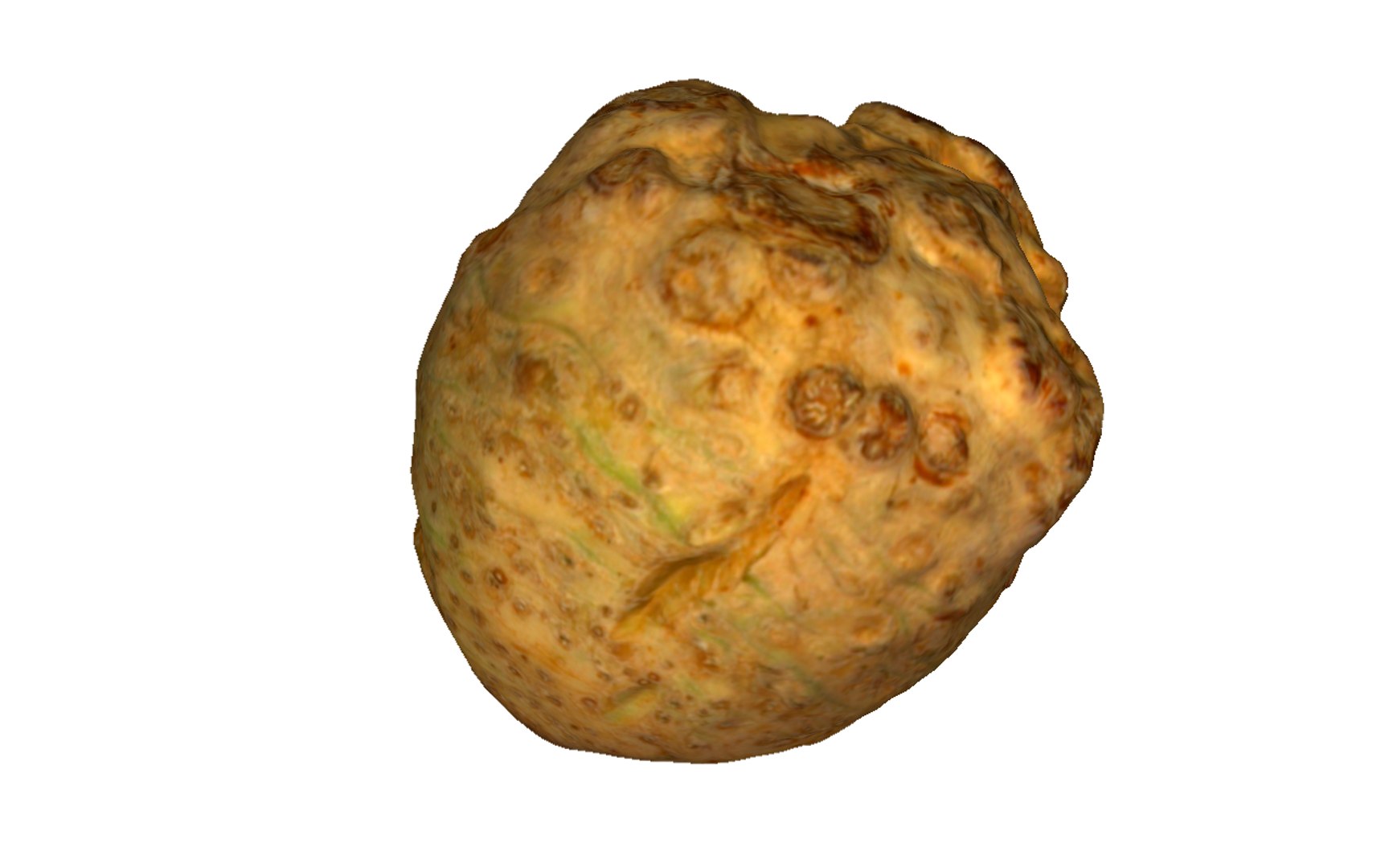Celery Scan 3D Model - TurboSquid 1627725