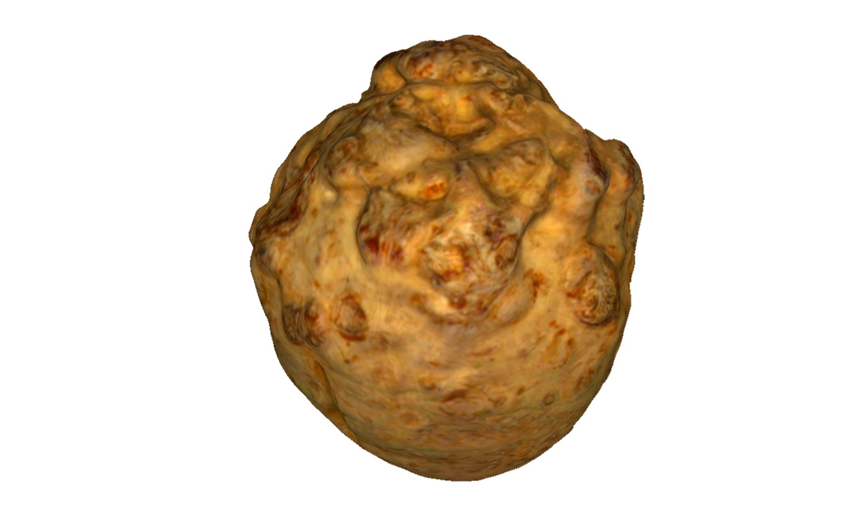 Celery Scan 3D Model - TurboSquid 1627725