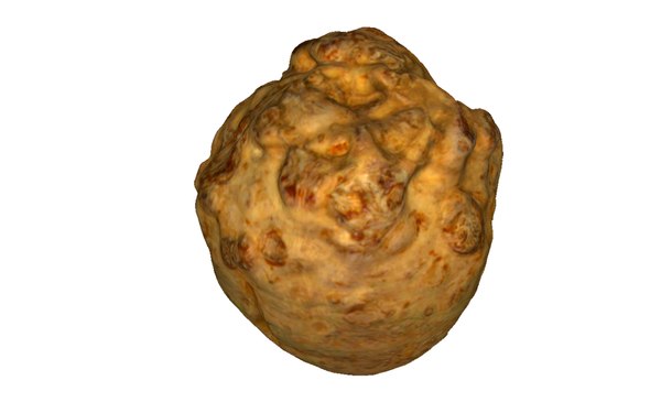 modelo 3d Apio - TurboSquid 1627725