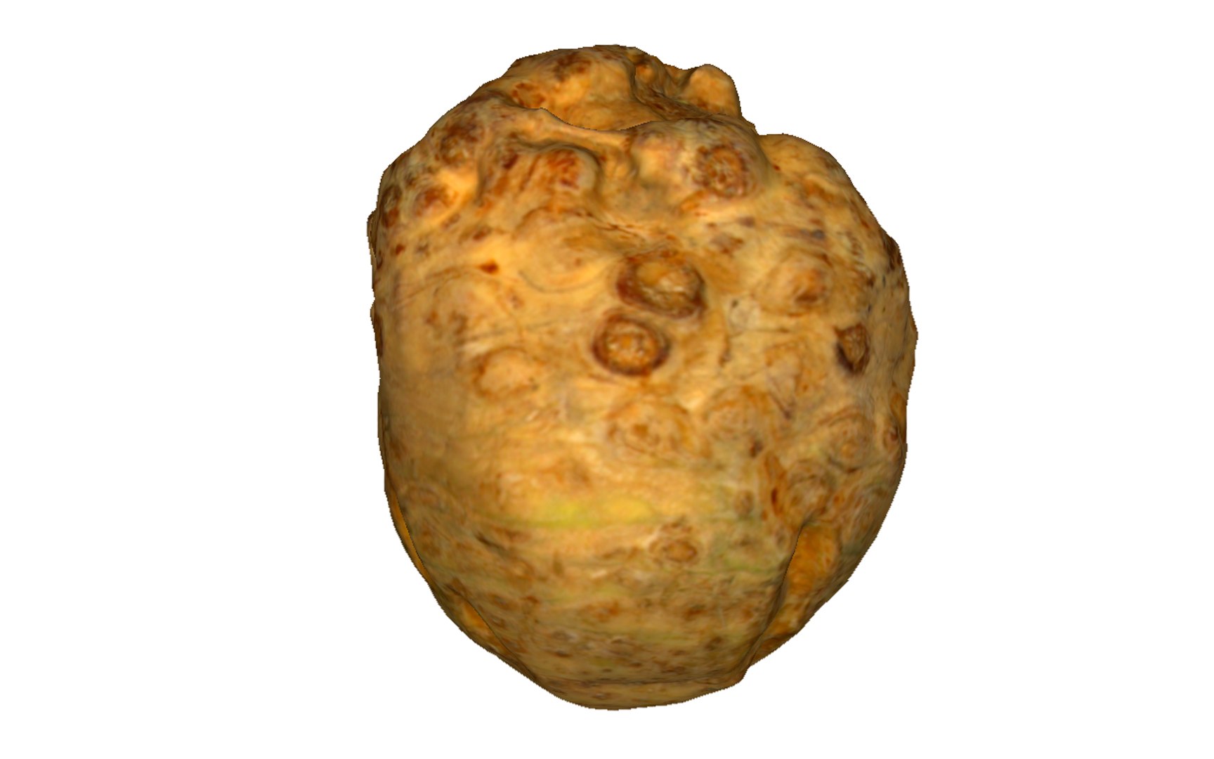 Celery Scan 3D Model - TurboSquid 1627725