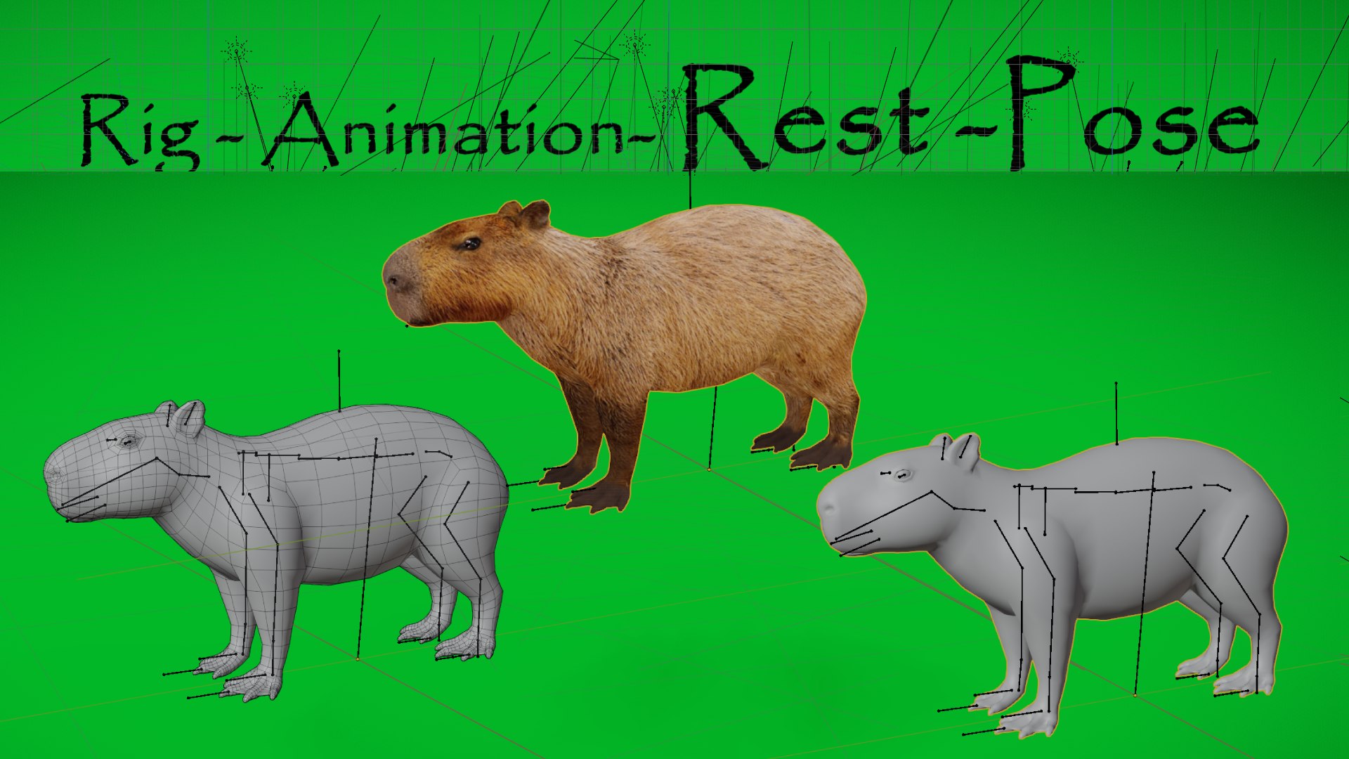 3D Capybara Model - TurboSquid 2423190