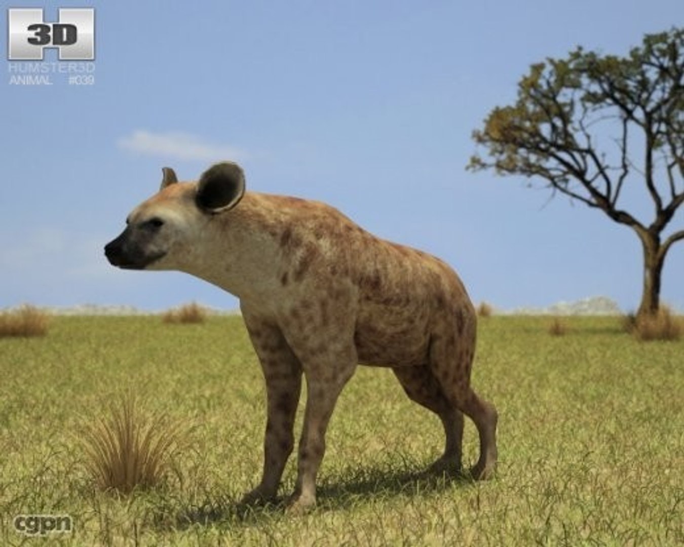 Crocuta Hyena Spotted 3d 3ds