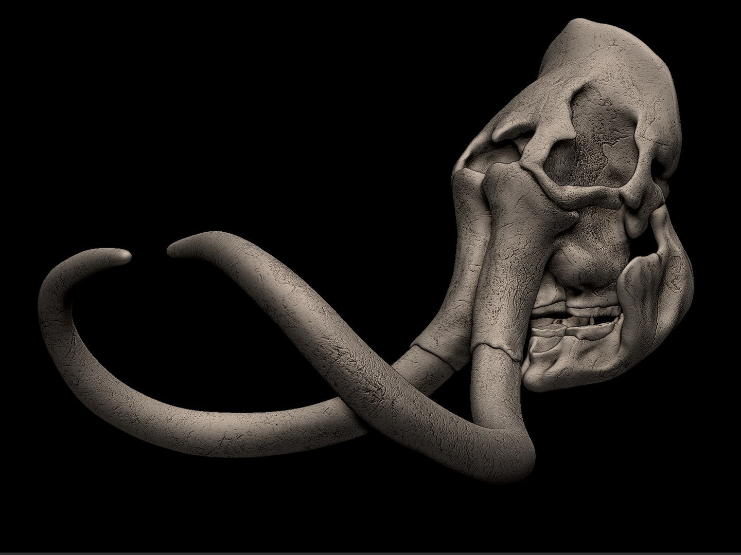 3D Woolly Mammoth Skull 3D Print Model Model - TurboSquid 2397810