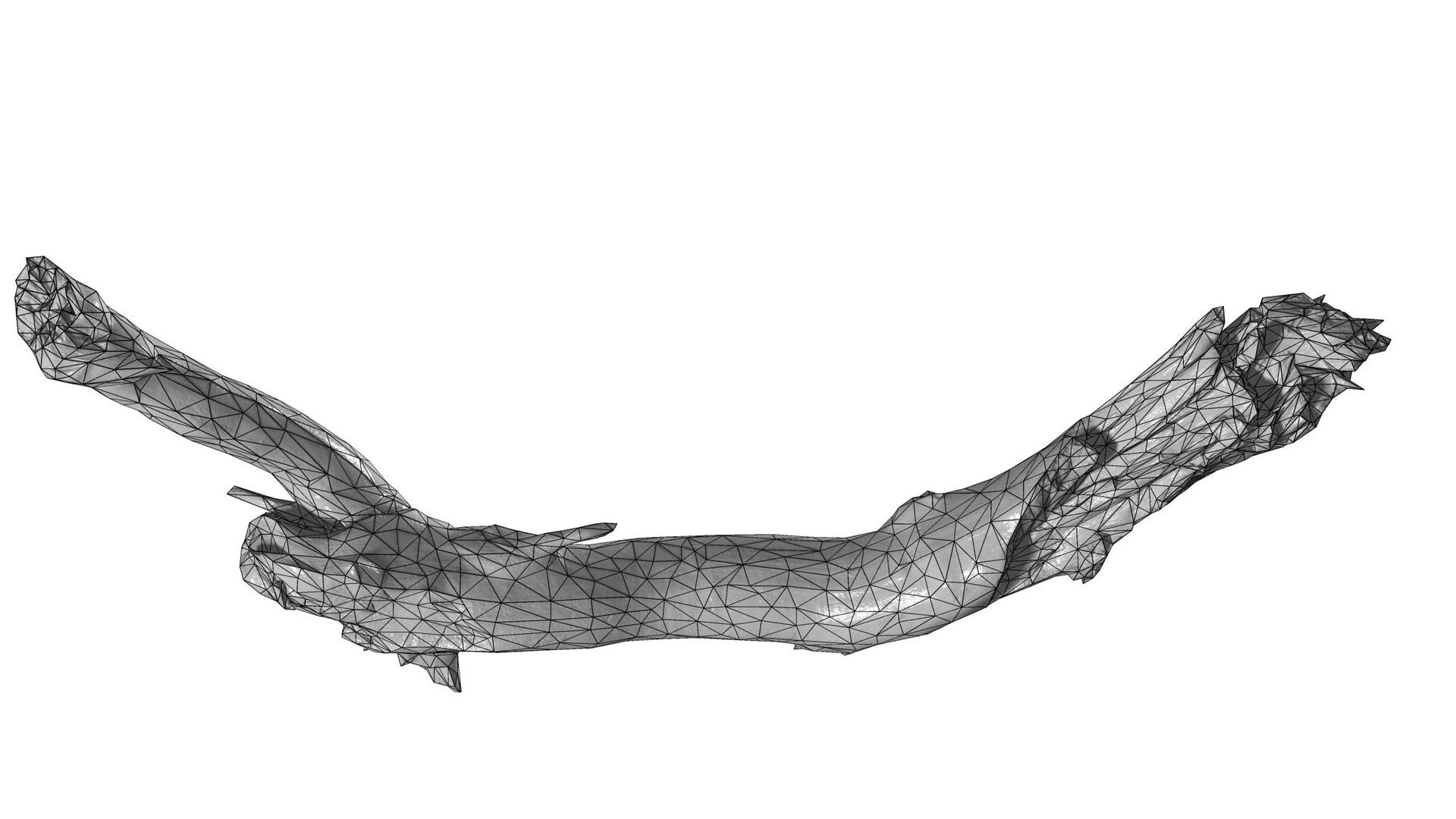 Maya Branch Rotten Wood