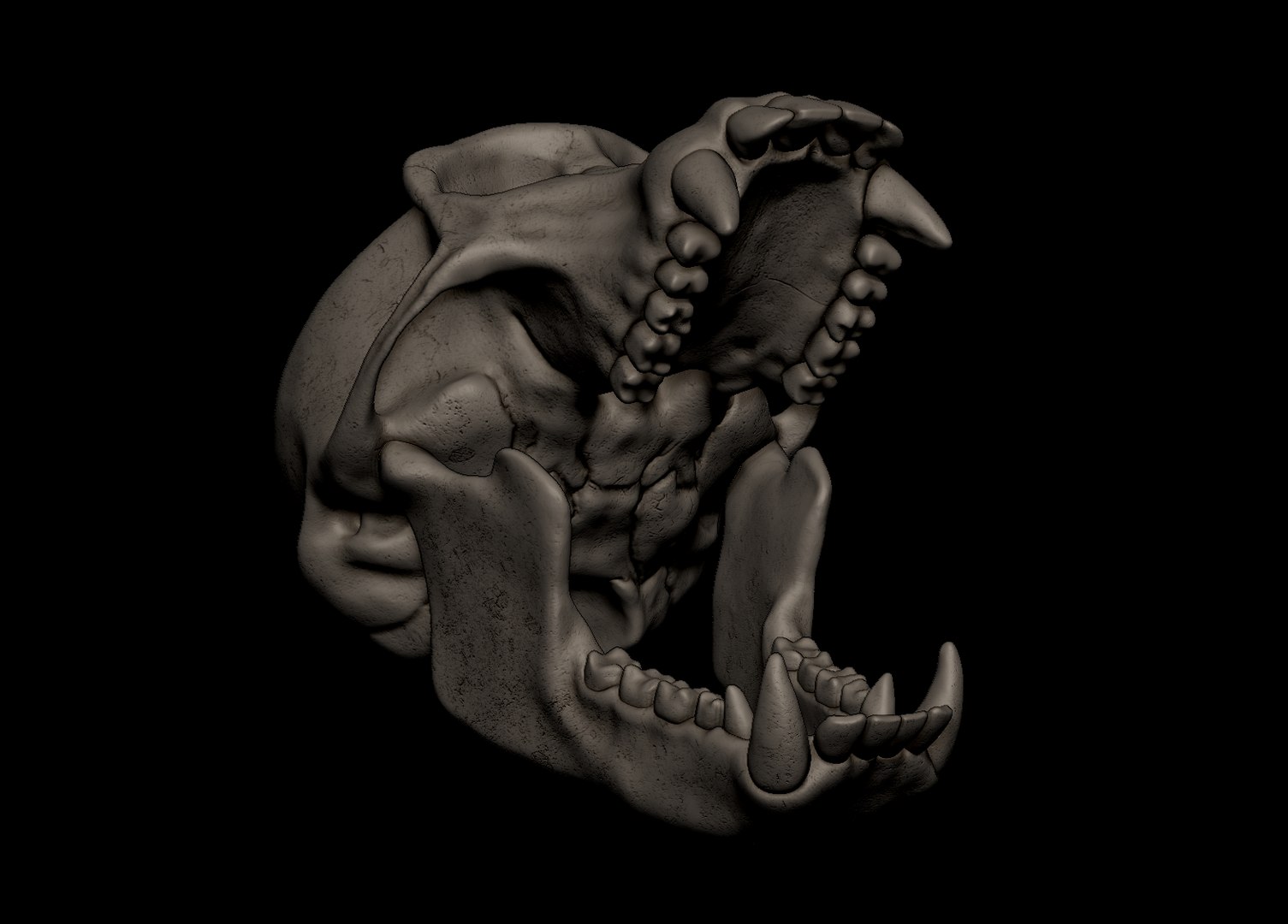 3D Chimpanzee Skull - TurboSquid 2395653