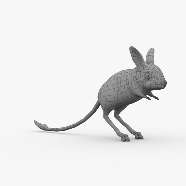 modelo 3d jerboa basemesh - TurboSquid 2006948