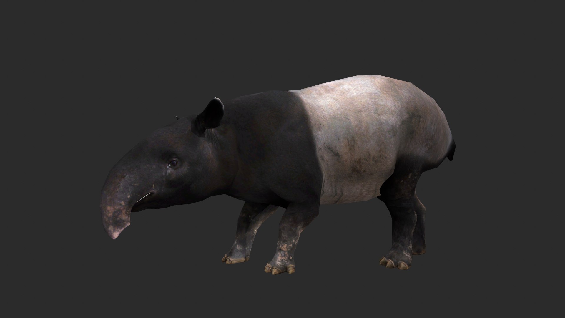 Animated Tapir 3D Model - TurboSquid 2222166