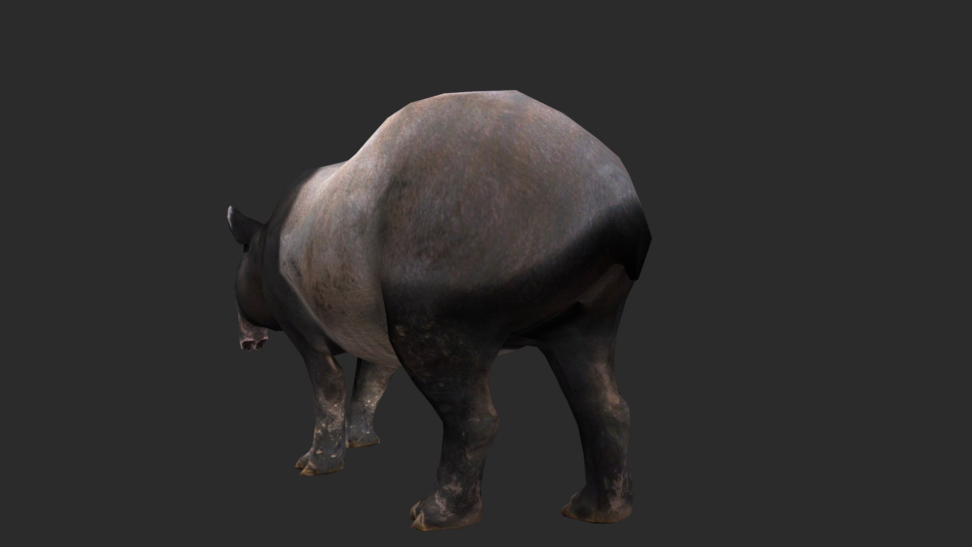 Animated Tapir 3D Model - TurboSquid 2222166