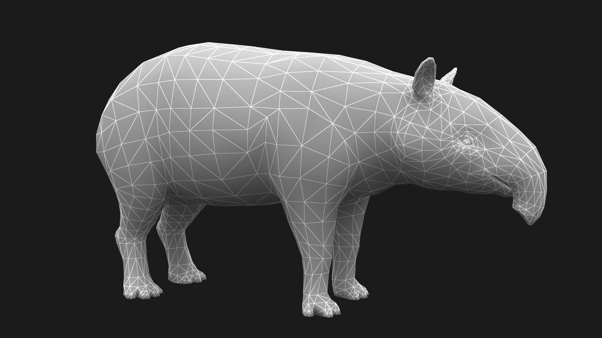 Animated Tapir 3D Model - TurboSquid 2222166