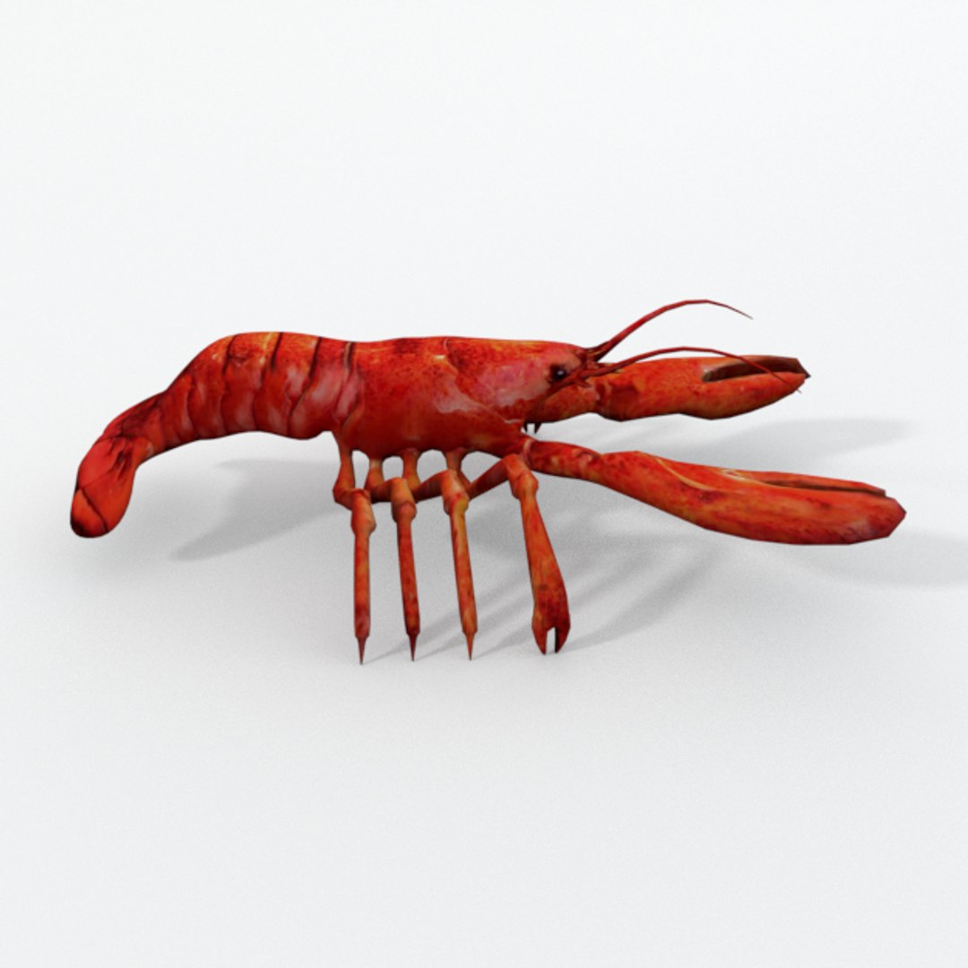 3D Model Lobster - TurboSquid 1336453