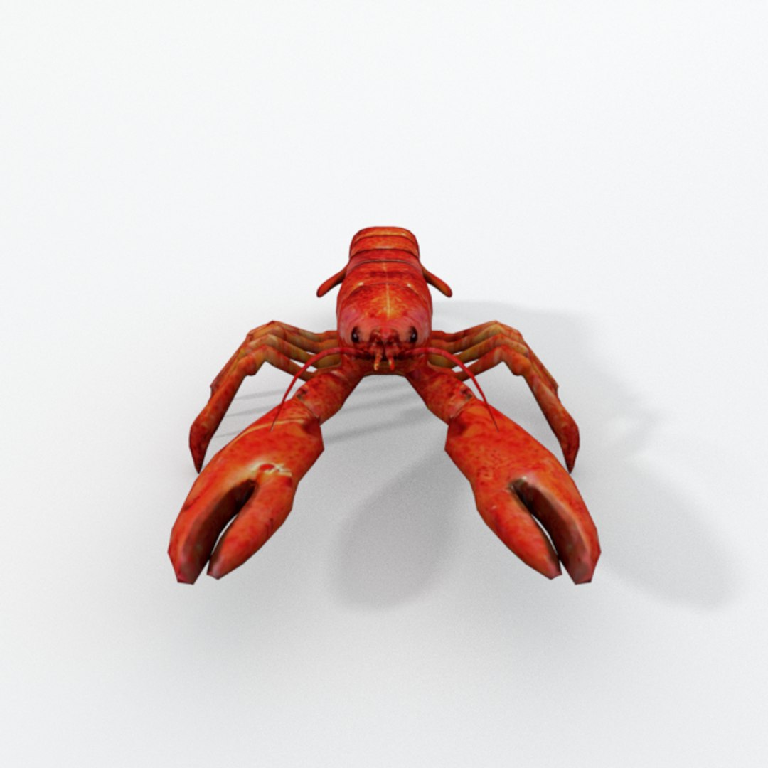 3D Model Lobster - TurboSquid 1336453