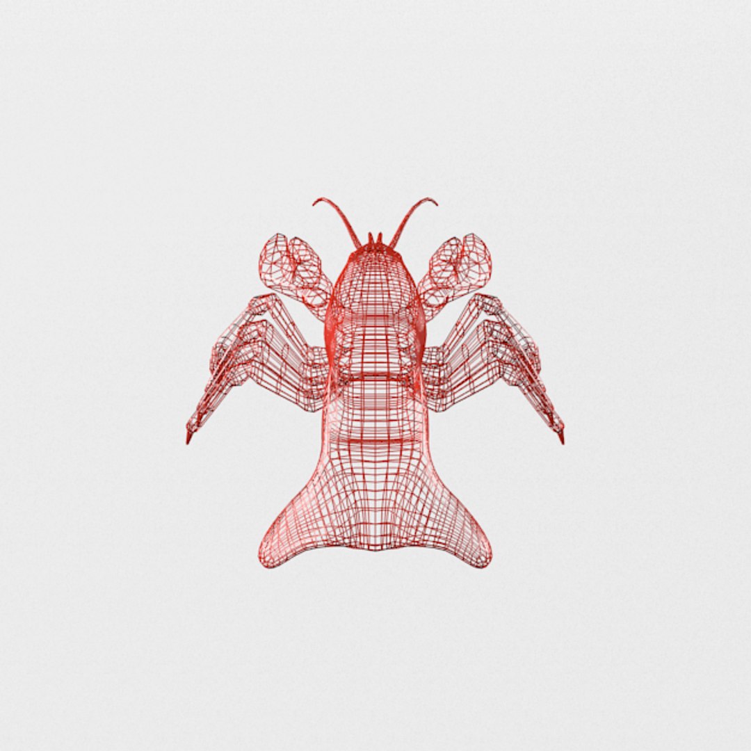 3D Model Lobster - TurboSquid 1336453