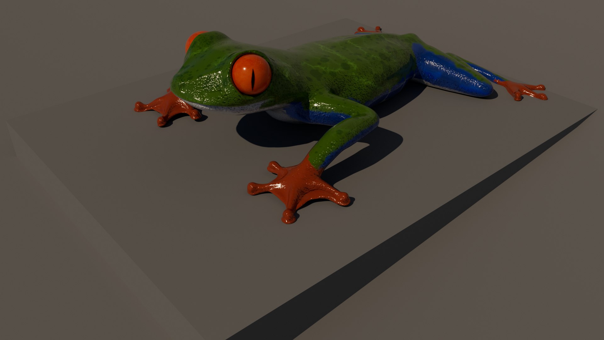 Red Eyed Frog3D模型 - TurboSquid 2001944