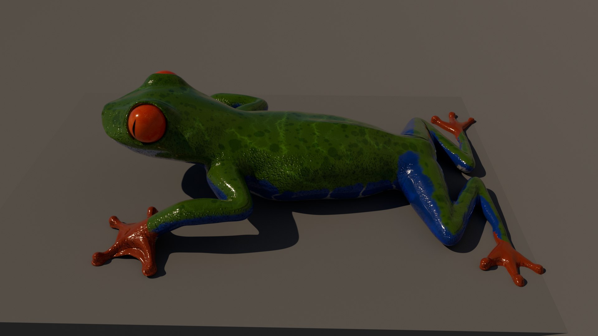 3D Red Eyed Frog - TurboSquid 2001944
