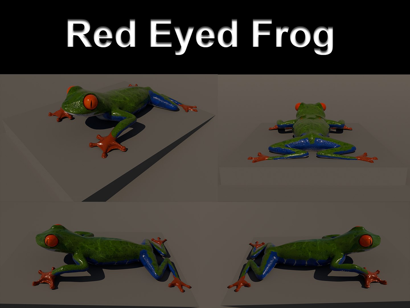 3D Red Eyed Frog - TurboSquid 2001944
