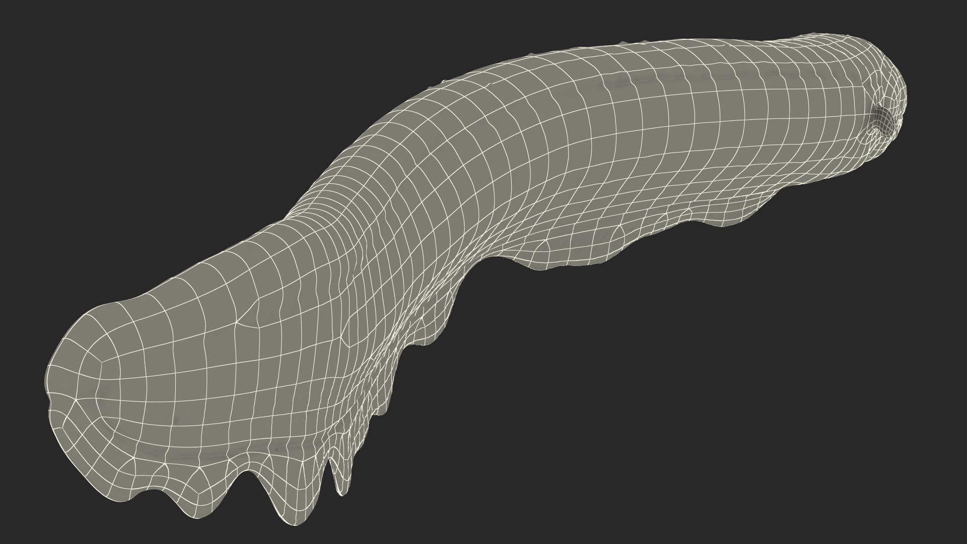 Electric Eel Swimming Pose Model - TurboSquid 1486872
