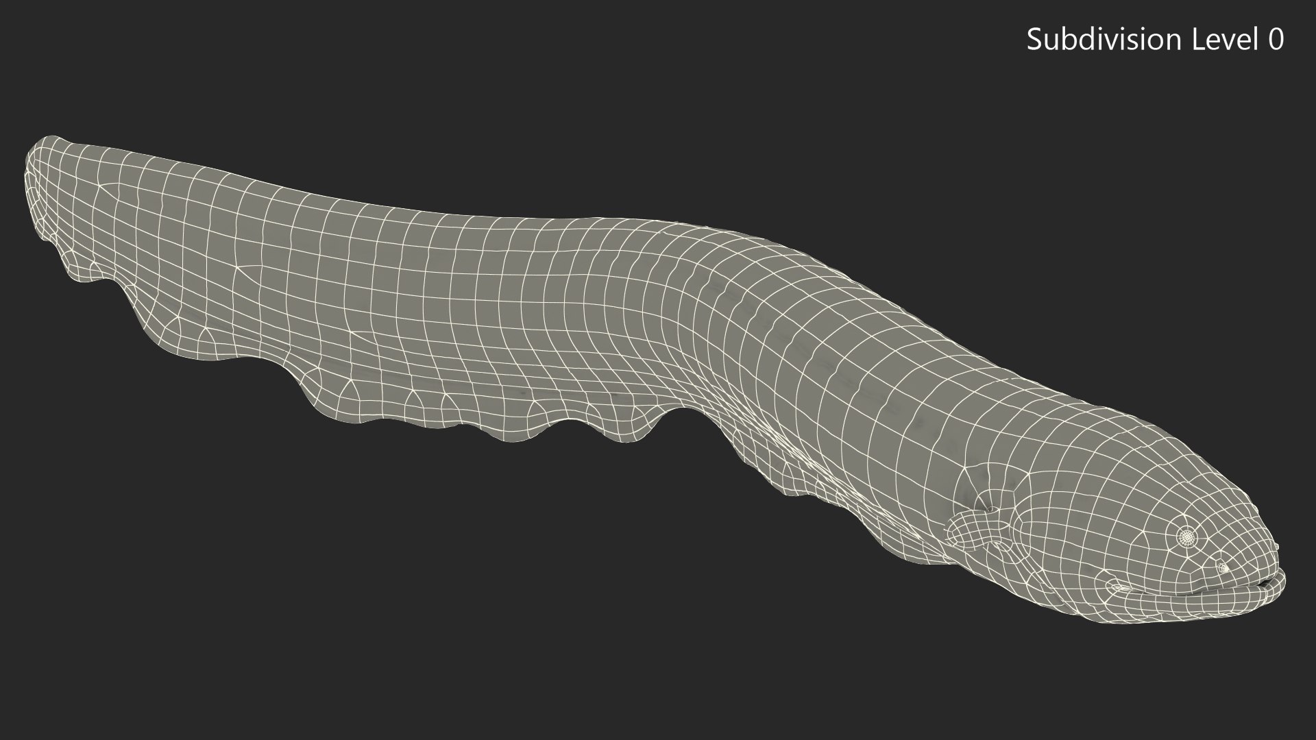 Electric eel swimming pose model - TurboSquid 1486872