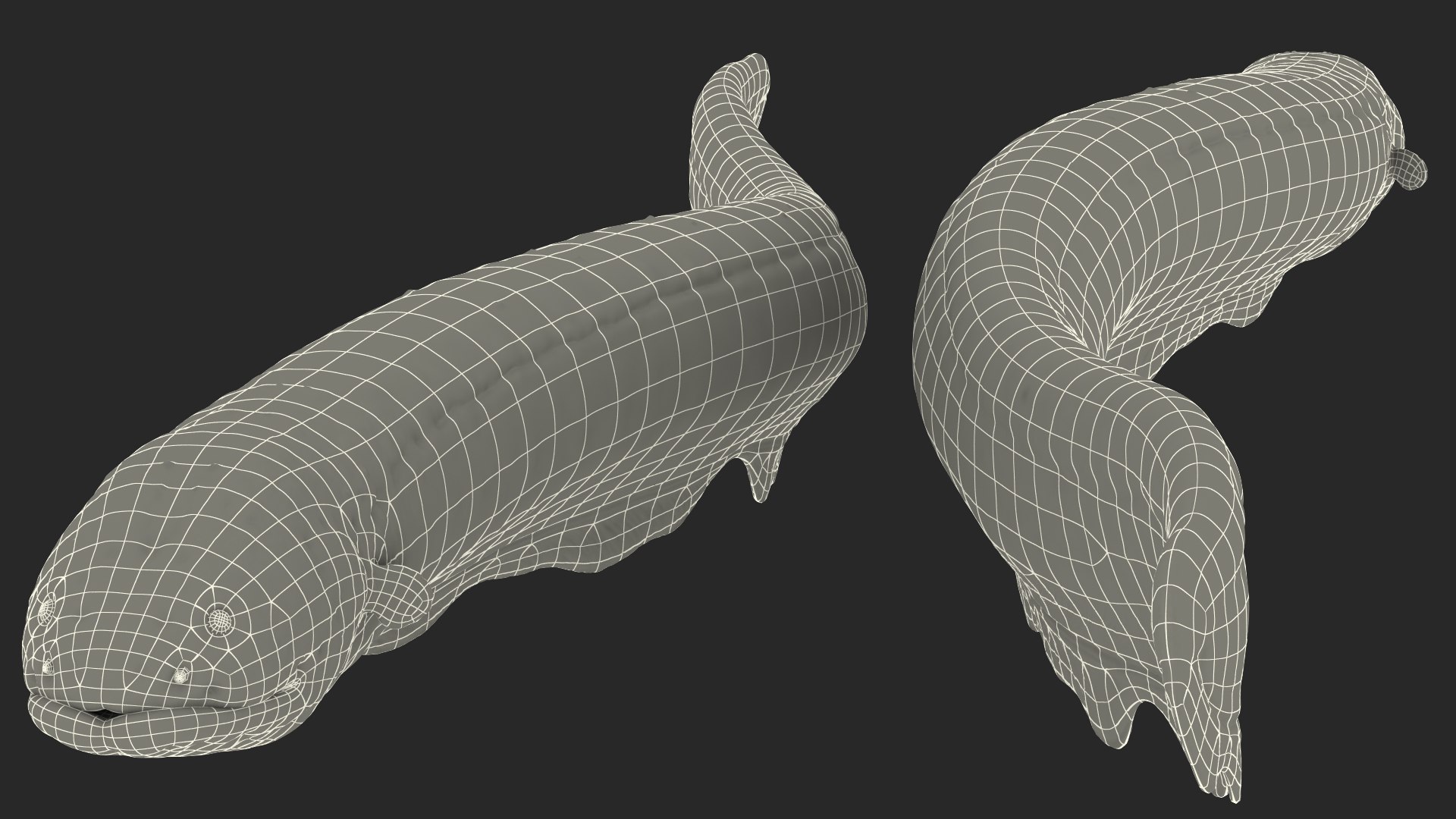 Electric eel swimming pose model - TurboSquid 1486872