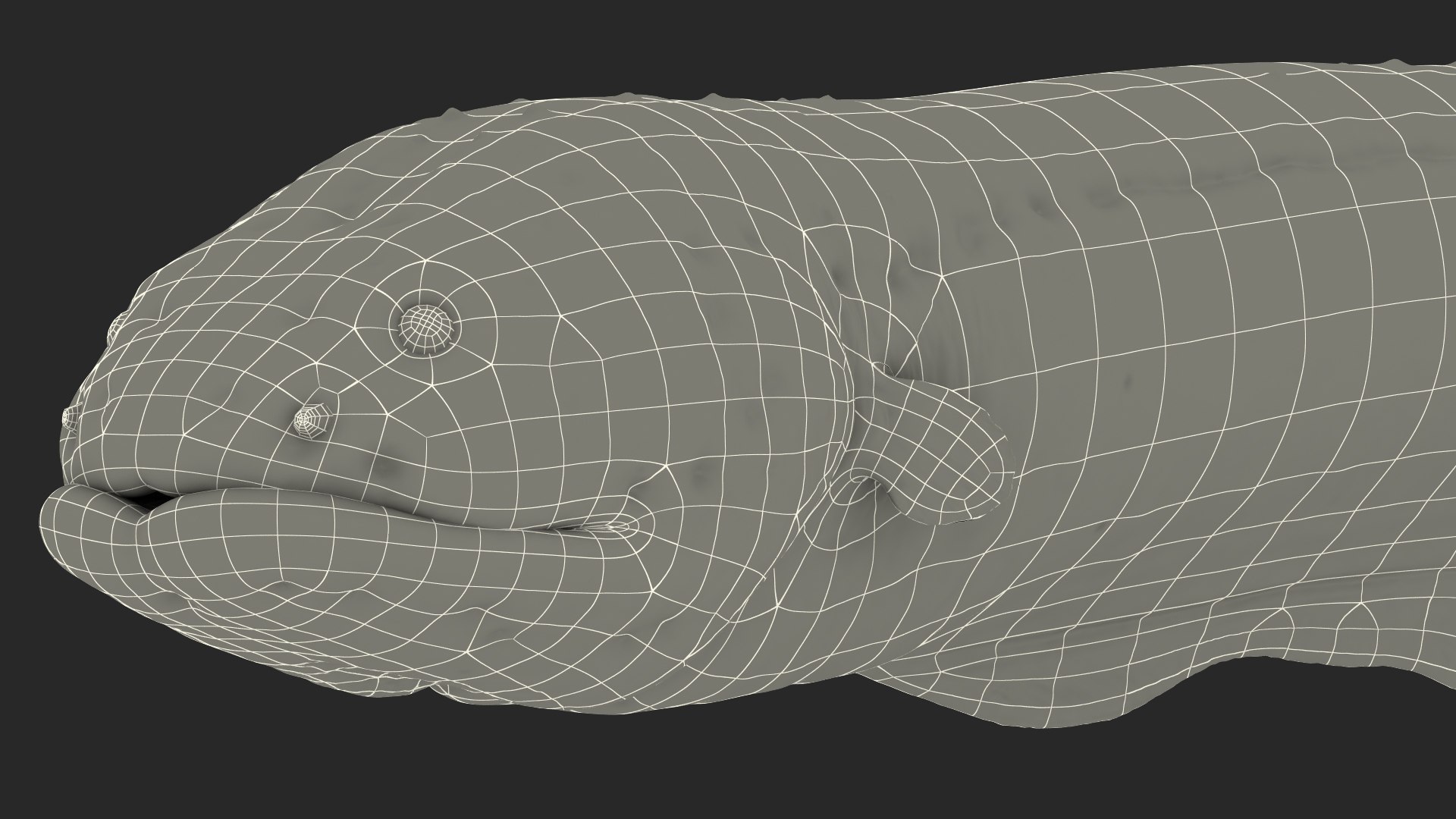 Electric Eel Swimming Pose Model - TurboSquid 1486872