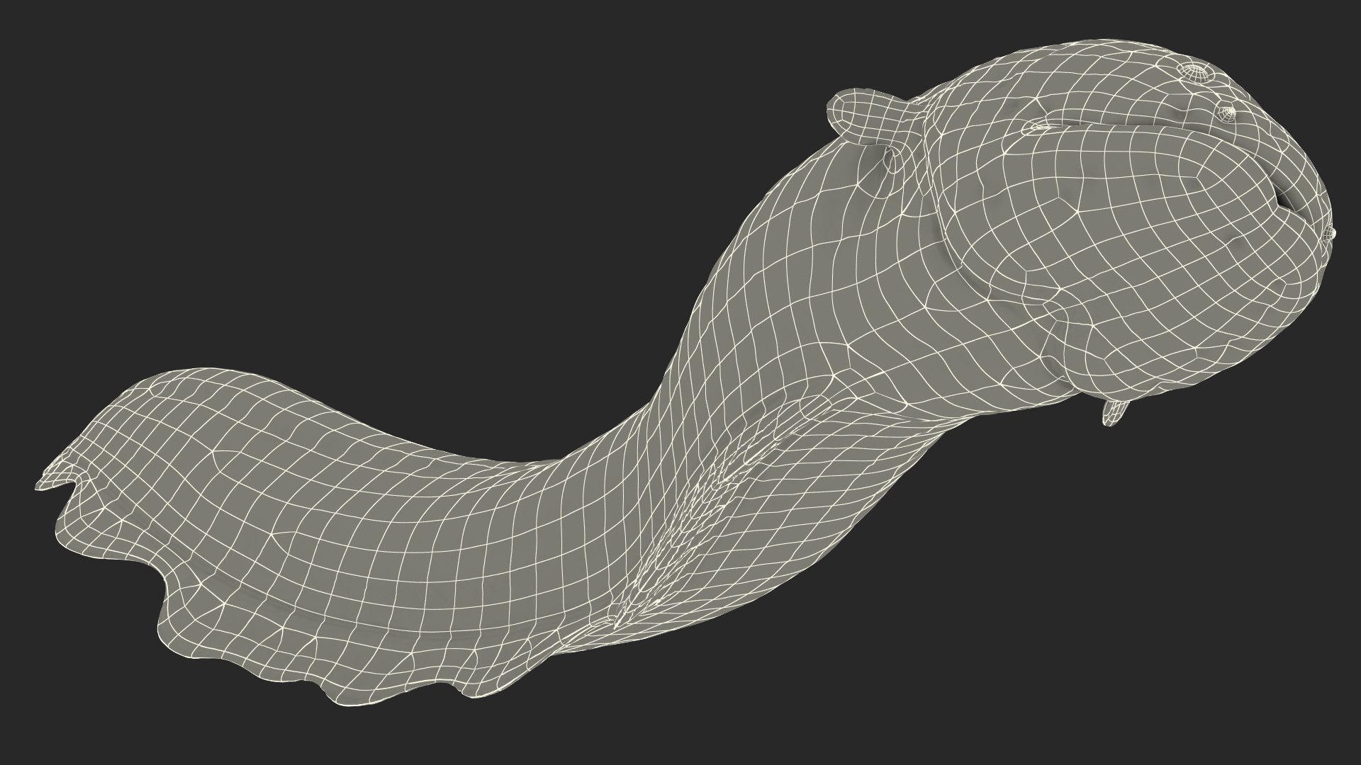 Electric Eel Swimming Pose Model - TurboSquid 1486872