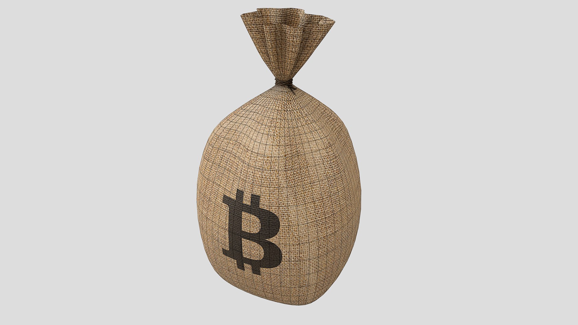 3D Model Money Bag V4 Bitcoin With Pbr 4K 8K - TurboSquid 1724171