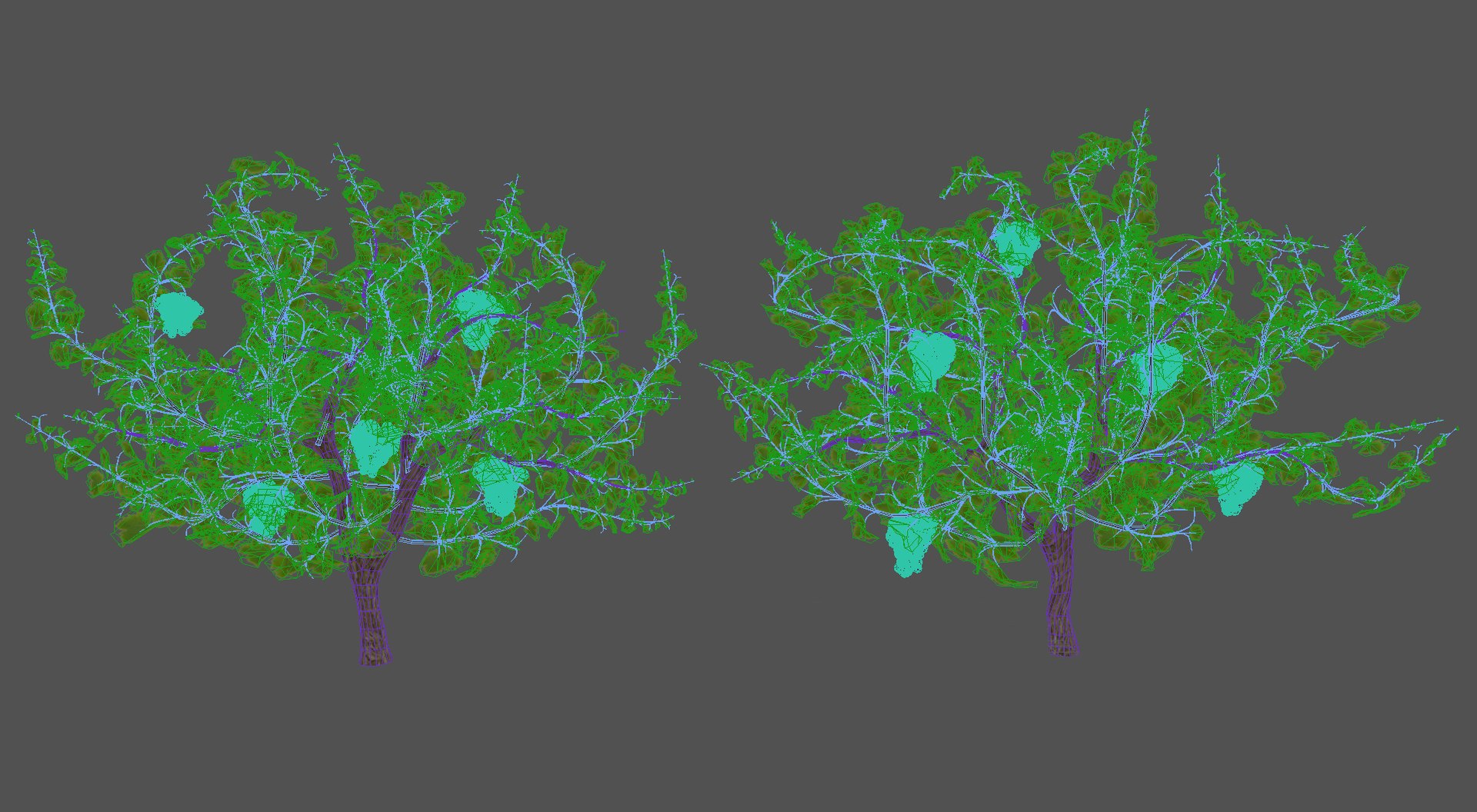 3D Model Wine Plant Vineyard Grapes Fruits 3D Model - TurboSquid 1774453