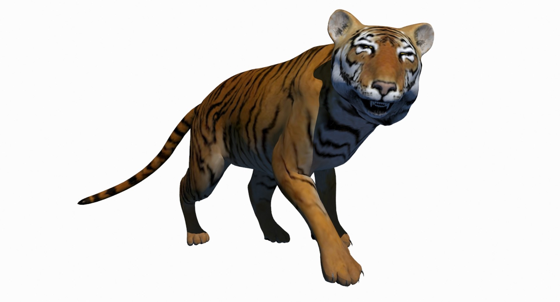 Tiger Nature Animal 3D Model - TurboSquid 1513676