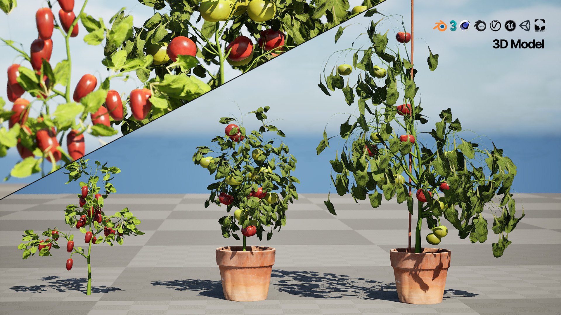 3D Realistic Tomato Plant Model - TurboSquid 2325146