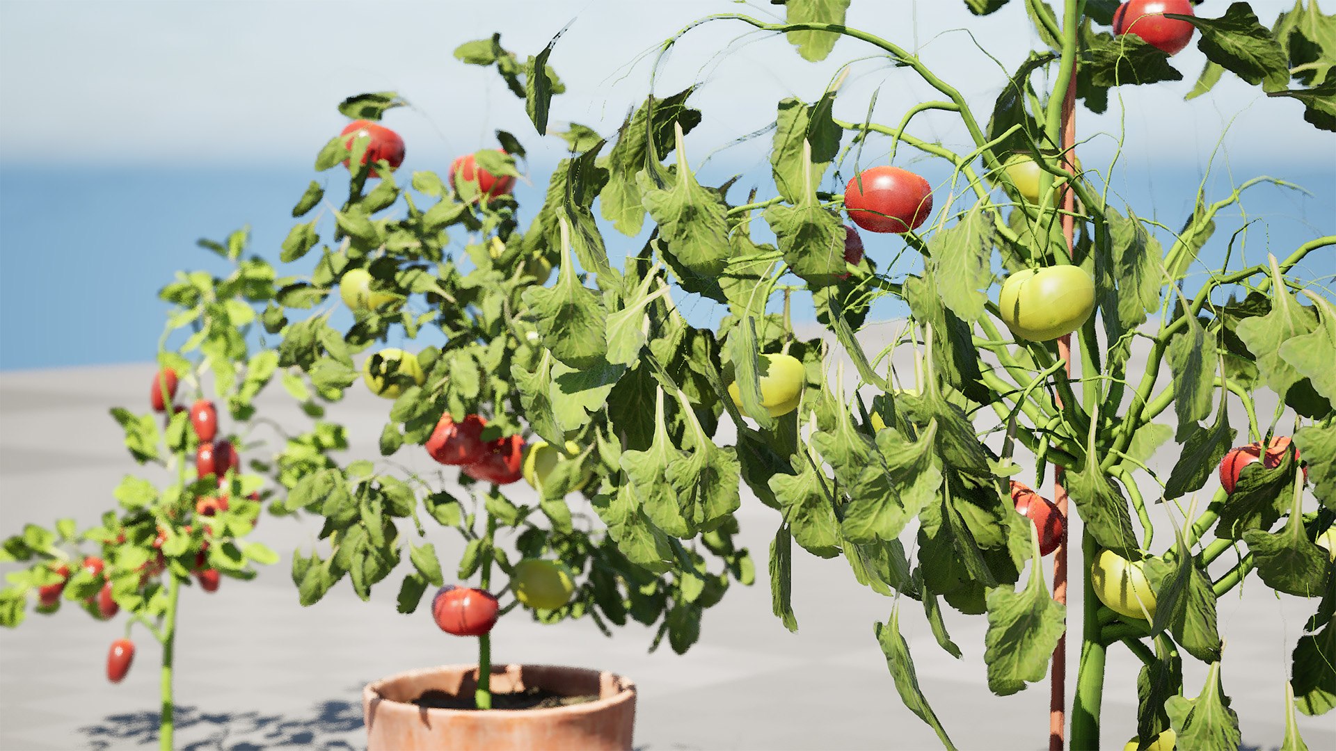 3D Realistic Tomato Plant Model - TurboSquid 2325146